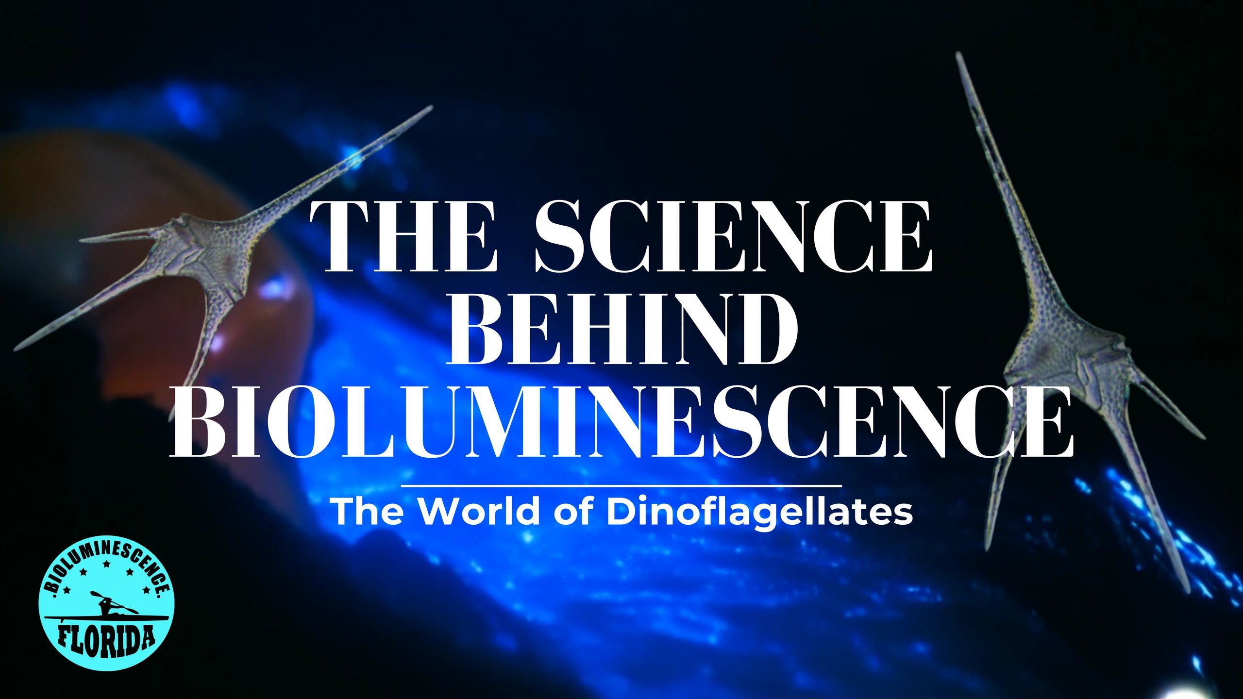 The Science Behind Bioluminescence